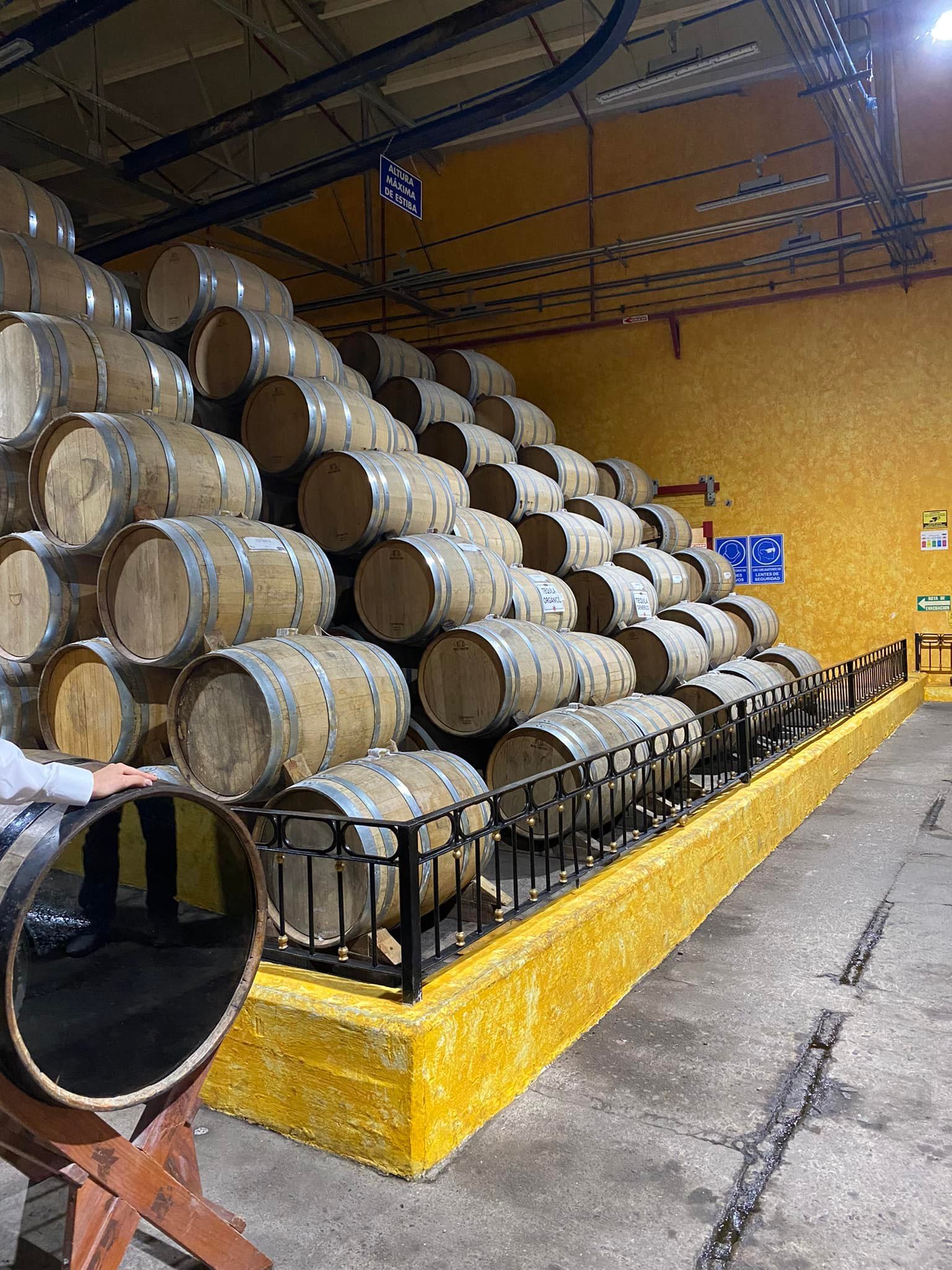 El Agave, un raudal azaroso - Proyecto Metropolitano ZMG