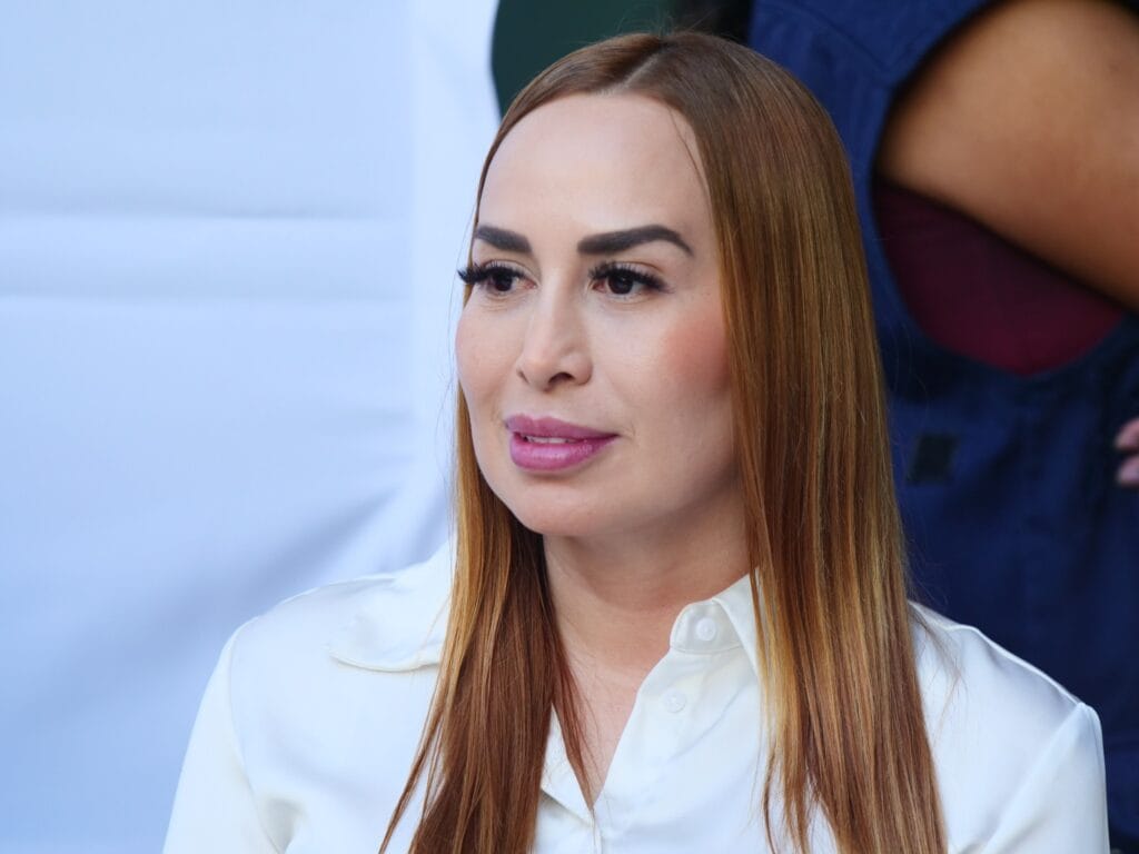 Morena: Su futuro en manos de Erika Pérez y Lomelí - Proyecto ...